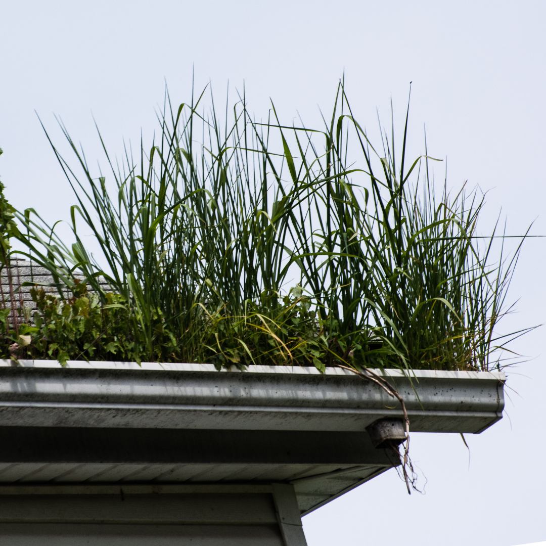 How to Identify Gutter Damage – Expert Gutter Installations and ...
