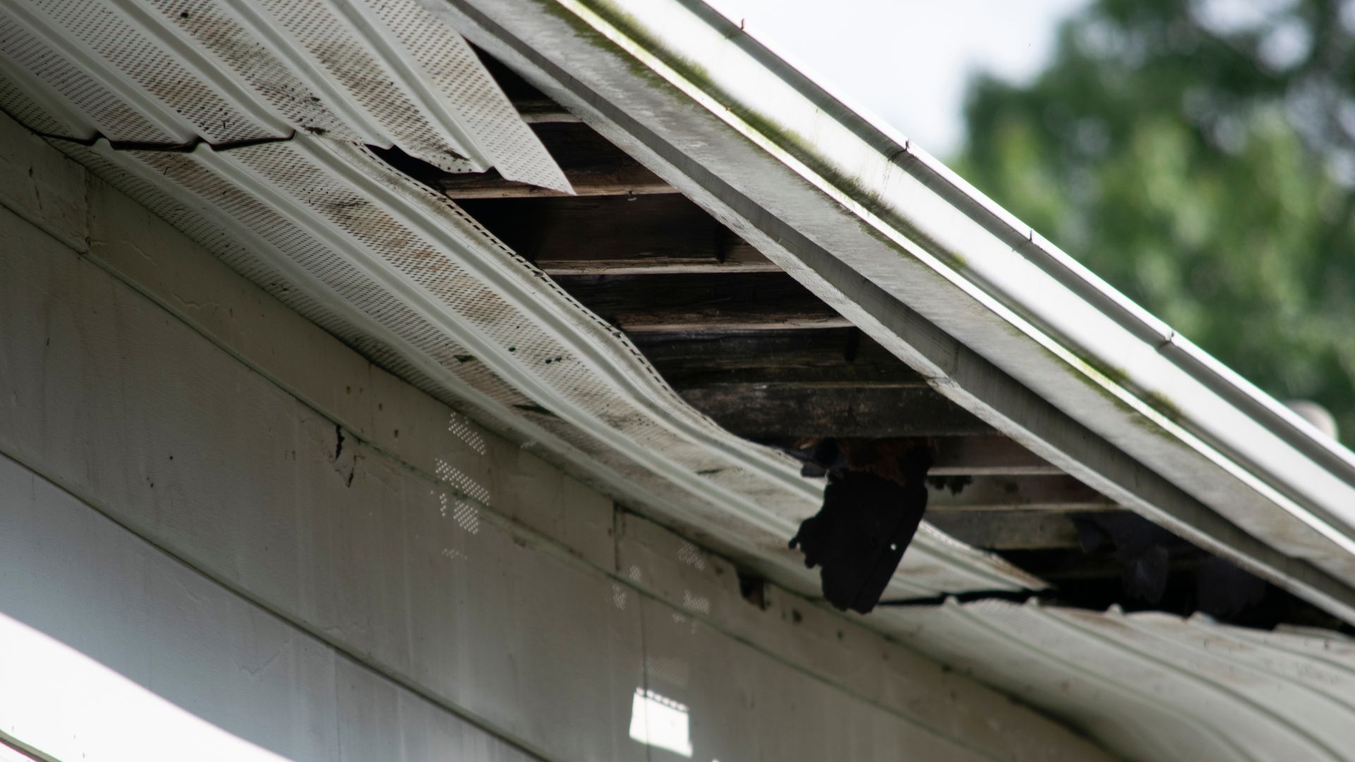 Soffits and Fascia – Expert Gutter Installations and Maintenance – Your ...